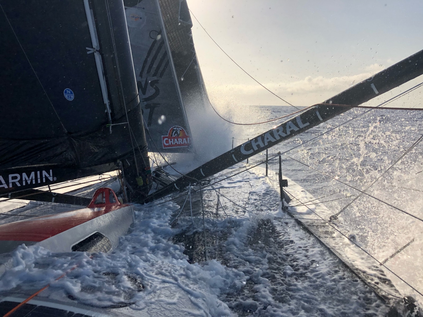 Charal solide leader | Charal Sailing Team